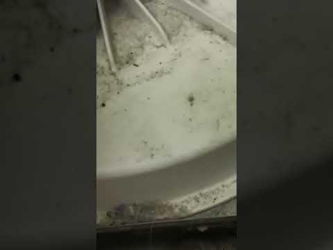 How I fixed the AF error code on a Whirlpool Cabrio dryer