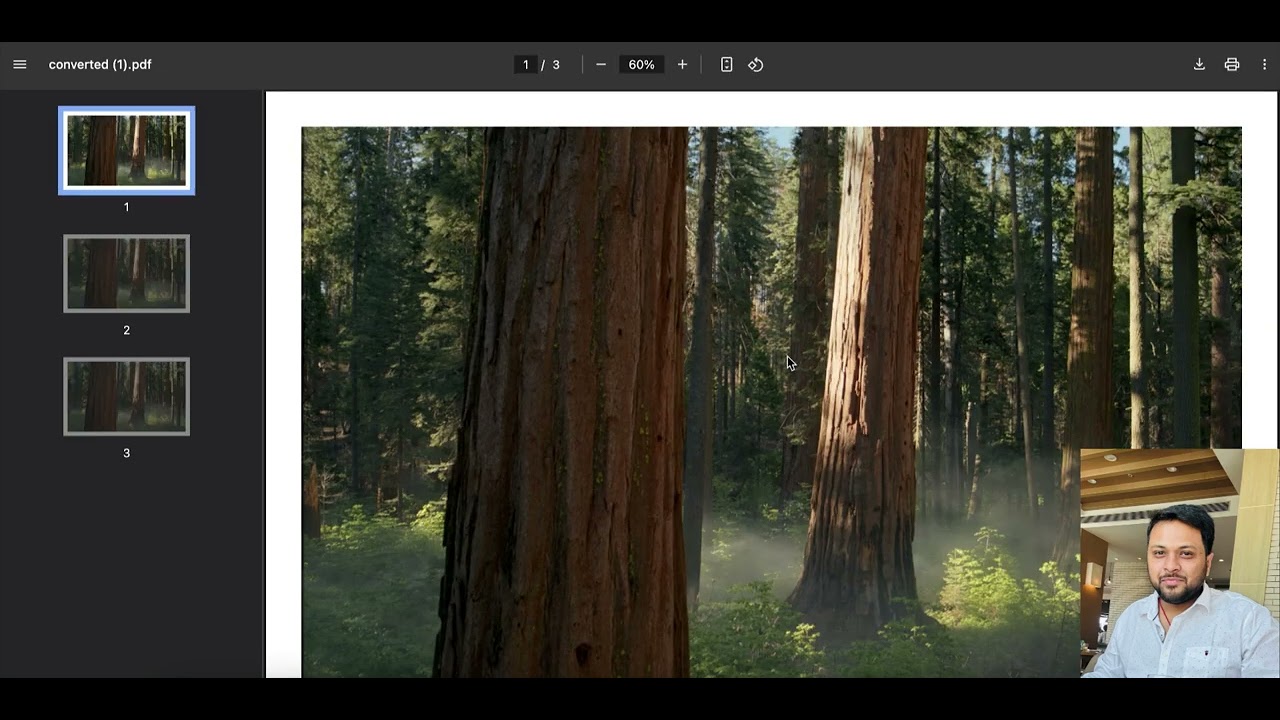 Convert pdf | #javascript #coding #application #frontend #new #html #css #programming #development