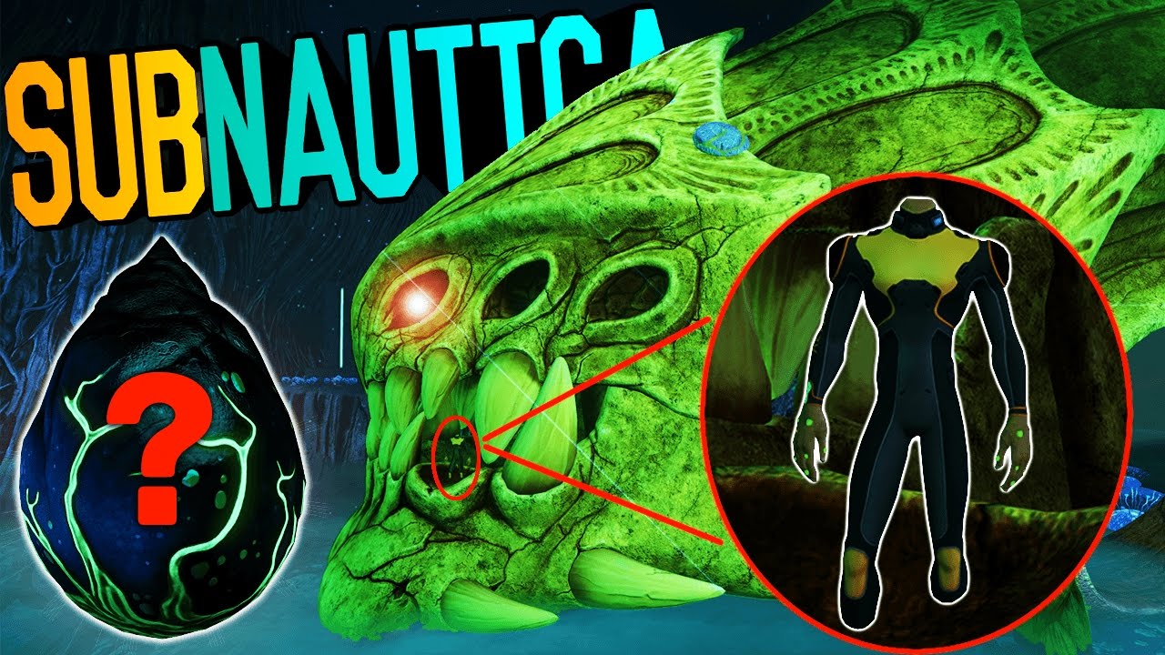 Subnautica - ANCIENT SKELETON REMAINS, LEVIATHAN EGG, LOST RIVER UPDATE, PRECURSOR CACHE & MORE!
