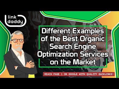 Different Examples of the Best Organic Search Engine Optimization Services on the Market
