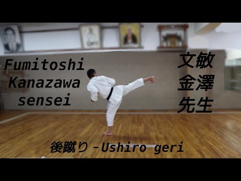 Berlatih Teknik Ushiro Geri dengan Sensei Fumitoshi