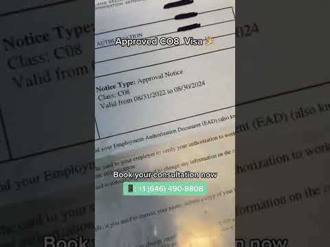 Approved CO8 Visa #shorts #visa #immigrationlawyer #immigration #artist