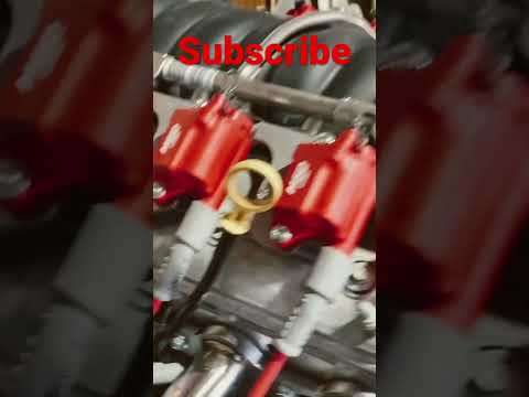 Motor and Frame Assessment