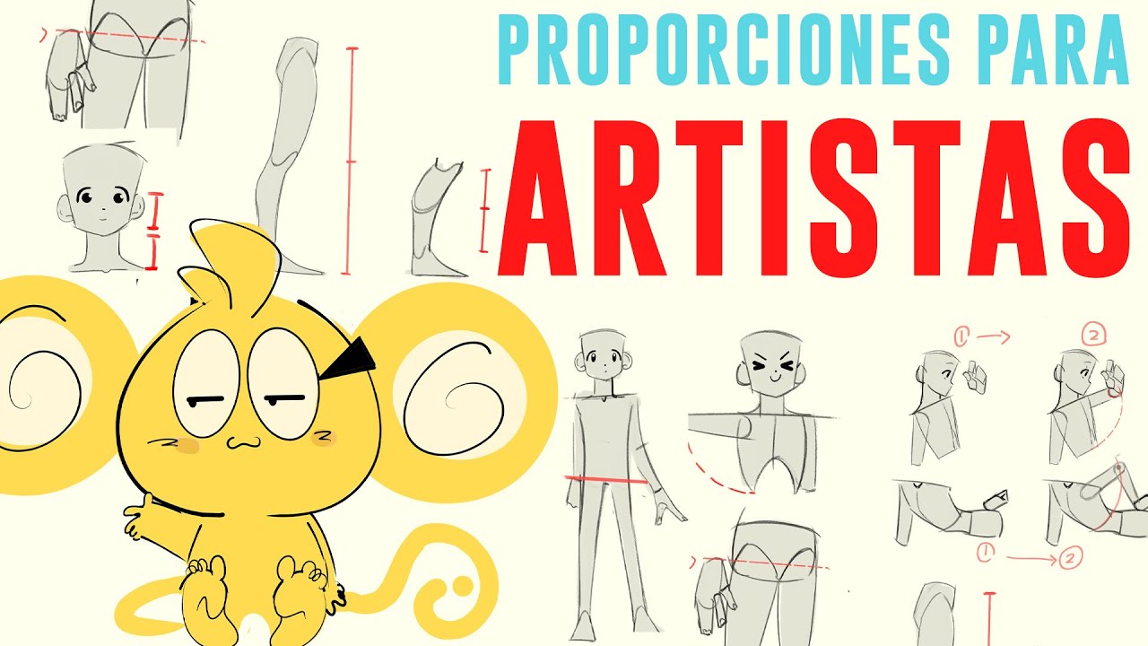 Proporciones Del Cuerpo Para Principiantes I Cómo Mejorar Anatomía