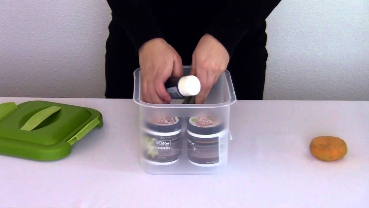 Sterilite Small Showoffs Storage Container