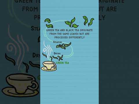 Black and Green tea are from the same plant!