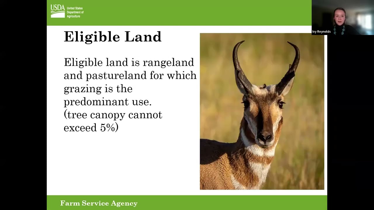 Grassland CRP: What It Is, How It Works, and Frequently Asked Questions (April 6, 2023 Webinar)
