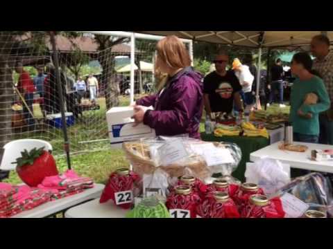 A berry good time happening at the strawberry festival in Unicoi