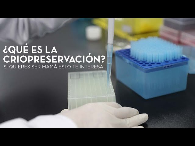 ¿Cómo hacer vendoletes? Aprende con estos trucos de una enfermera ...
