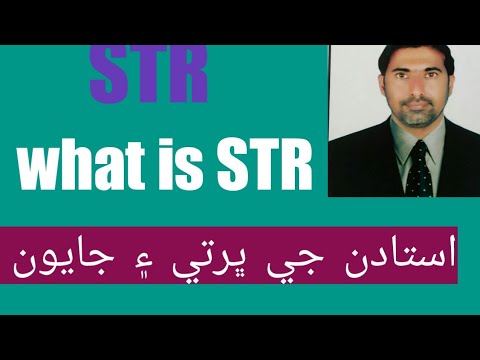 Teachers recruitment policy with STR . what is STR very important information