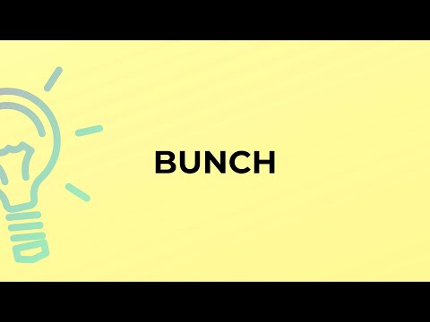 What is the meaning of the word BUNCH?