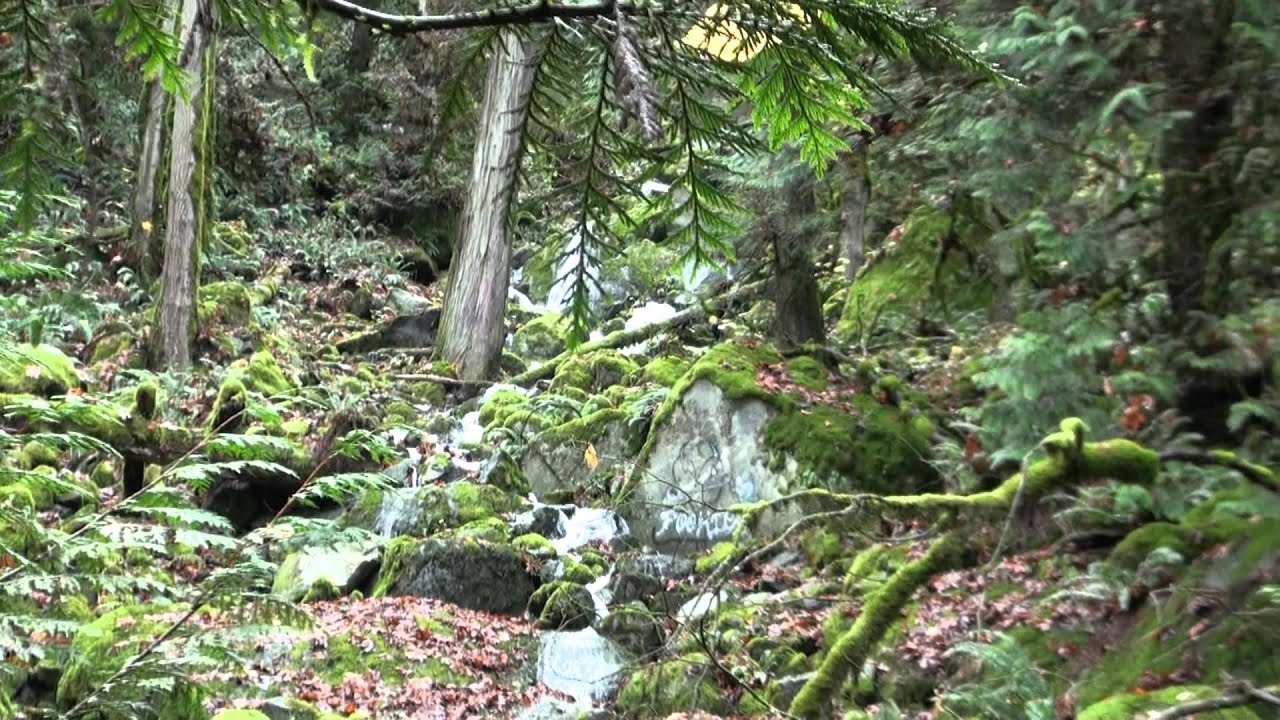 2604 Harrison Medium Waterfall