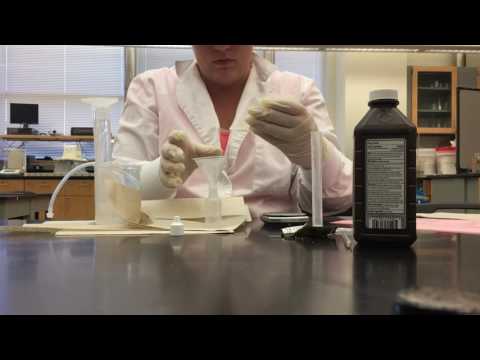 Ideal Gas Constant Lab