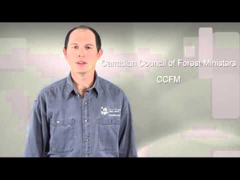 What Why How of CoC Certification - Part 1