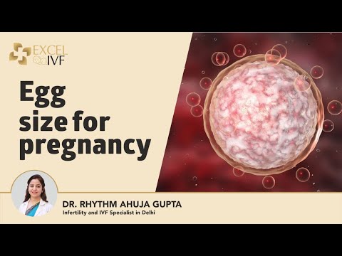 Egg size for pregnancy | प्रेग्नेंट होने के लिए कितने साइज का अंडा होना चाहिए | Dr Rhythm Gupta