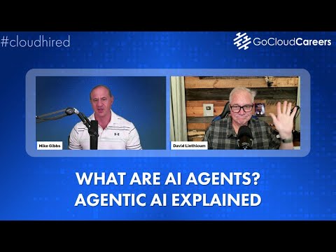 What Are AI Agents (Agentic AI Explained with AI Agent Examples)