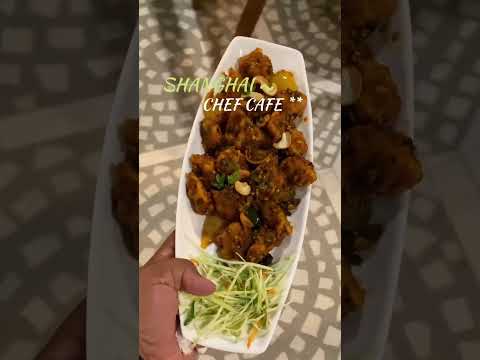 SHANGHAI CHEF CAFE || jublee hills | pure for non veg and veg