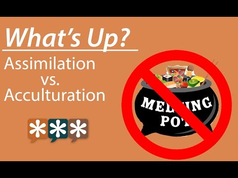What's Up? – Assimilation vs. Acculturation