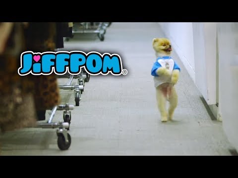JiffPom Wiki