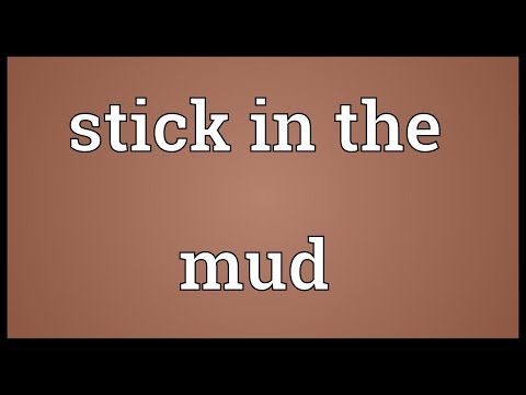 Stick in the mud Meaning