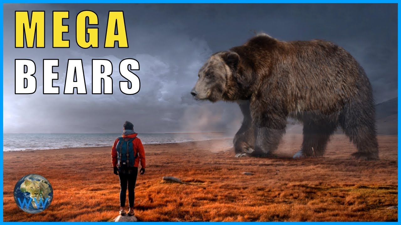 Giants of the North: The Biggest Brown Bears in History