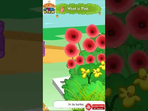 What is Pink | Rhyme | Rhymes | Nursery Rhymes | Rhyme With | What Rhyme | Toddlers Songs || #Shorts