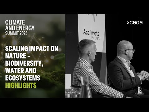Scaling impact on nature – biodiversity, water and ecosystems | C&E Summit 2025 Highlights