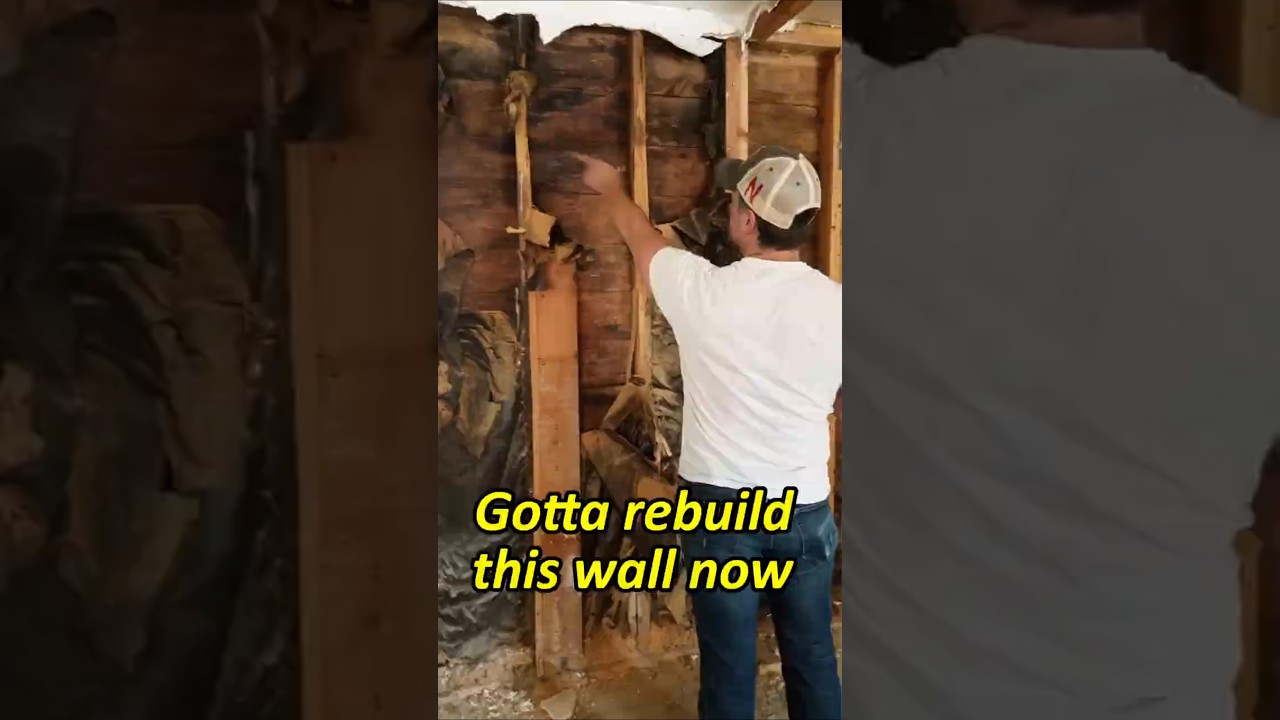 This wall is completely eaten away!!