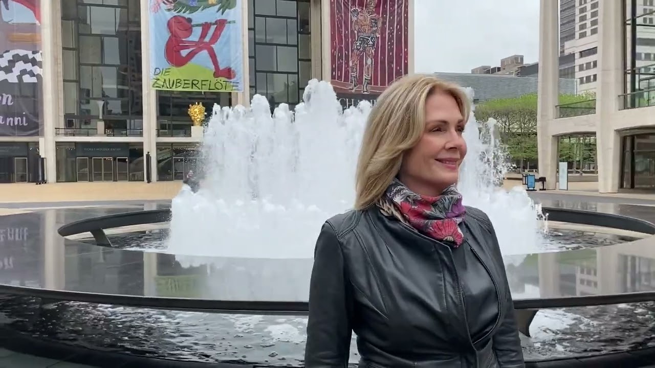 Diane di Stasio for New York City Council – Why I'm Running