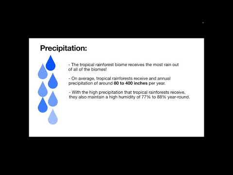 Tropical Rainforest Biome Climate Explanation