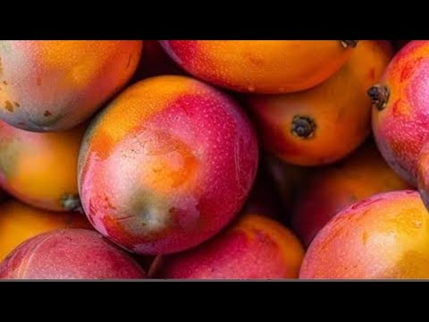 Rahul kumar Gupta ( vijay eduction is live