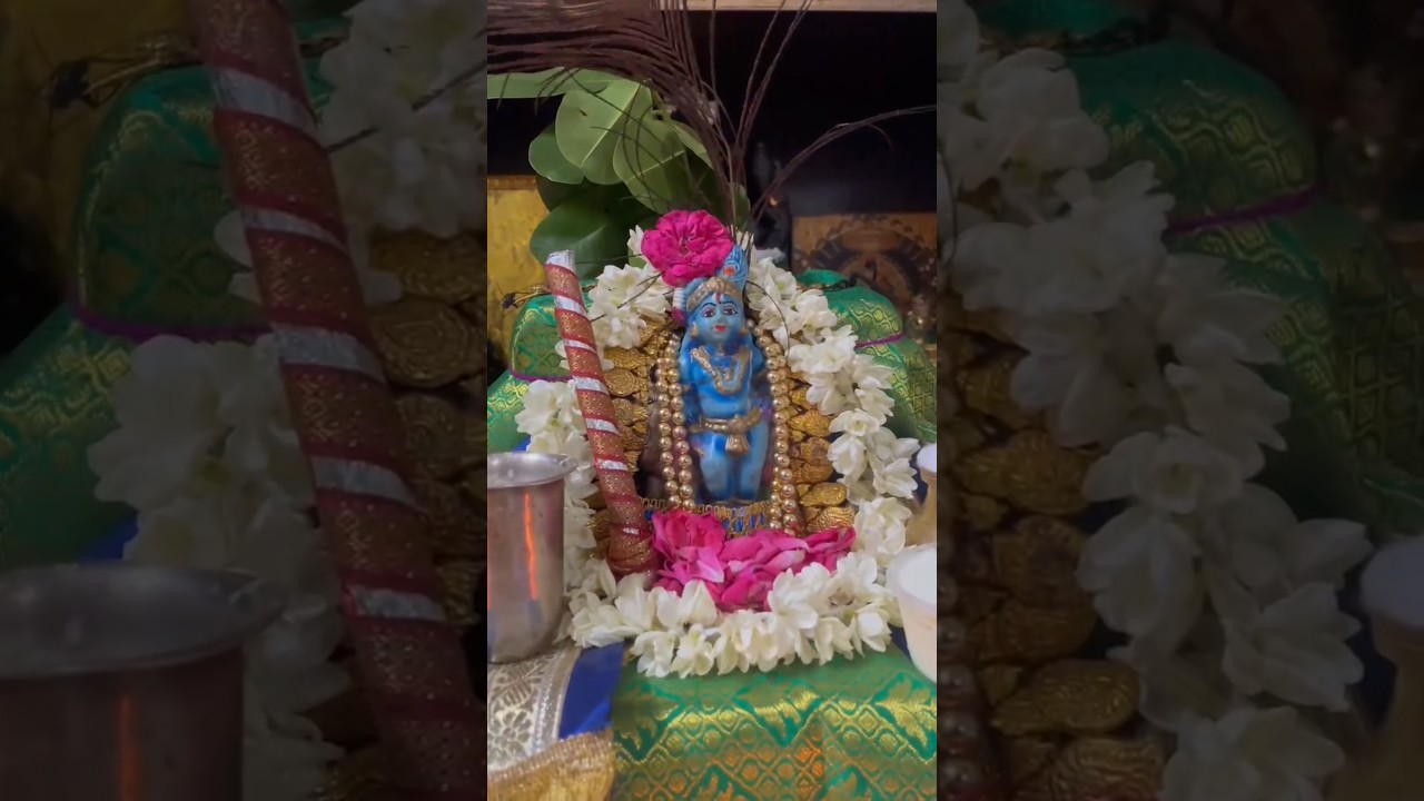 Happy gokulastami guysss | mini clips | #santo #jsof #clips #shorts
