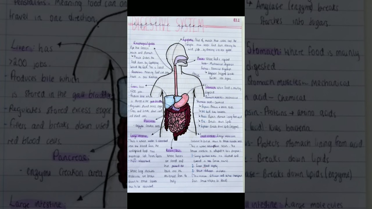 The ultimate biology notes guide