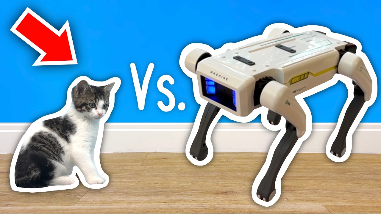 Kitten Vs. Robots!