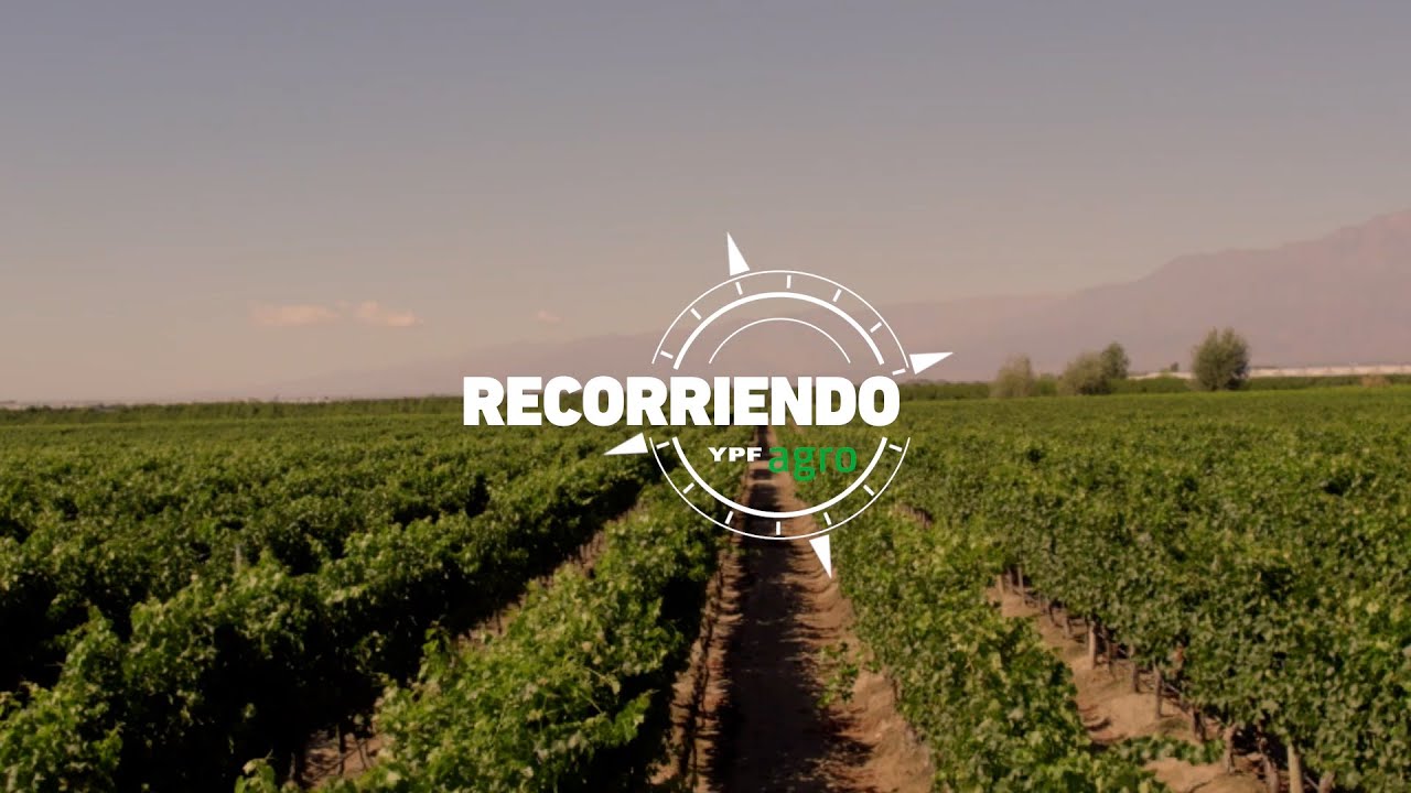 YPF Agro crece también en la nutrición para la vid