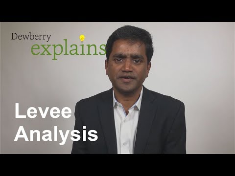 What is Levee Analysis?