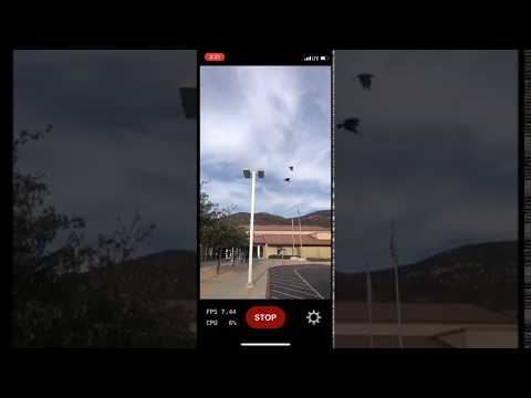 Scare Away crows by this App