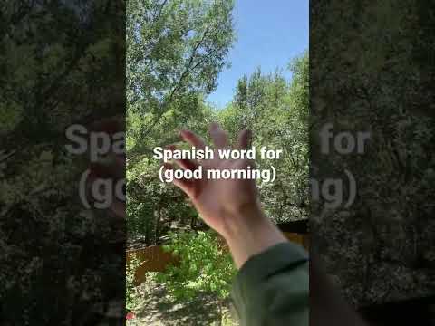 Spanish word for (good morning)