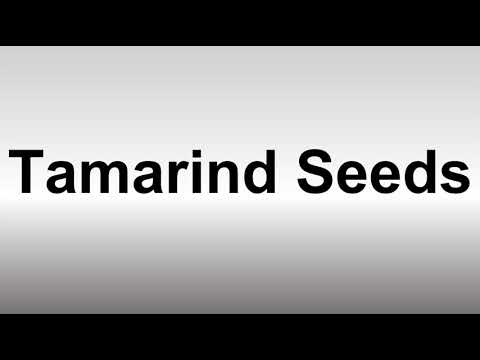 How to Pronounce Tamarind Seeds