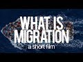 Migration Short Films Watch HD Mp4 Video Download Free