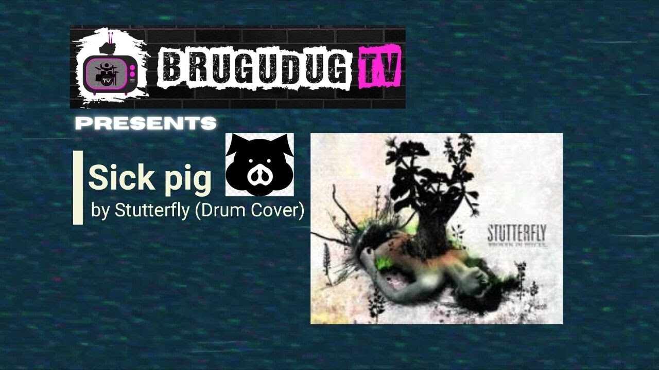 Sick pig by Stutterfly (Drum Cover)