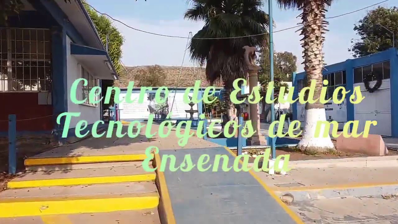 Cetmar 11 agosto de 2020