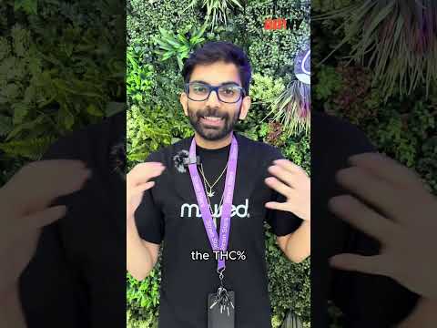 Strain Stars in Farmingdale, NY is Long Island’s First Legal Marijuana Dispensary