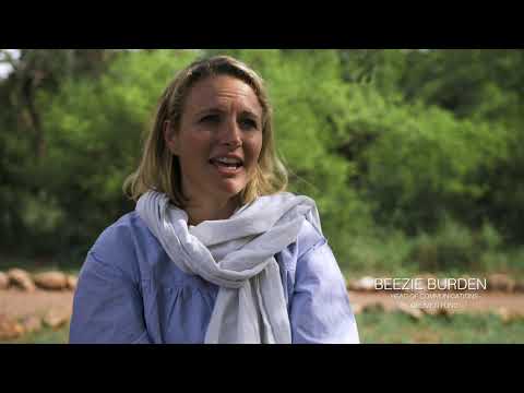 The First-Ever All-Female Run Across the Serengeti