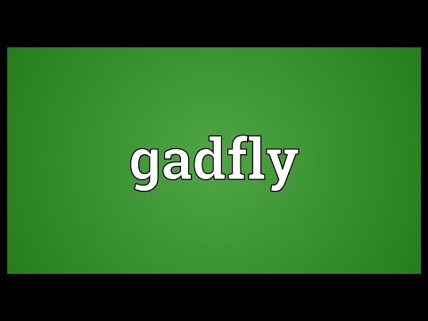 Gadfly Meaning