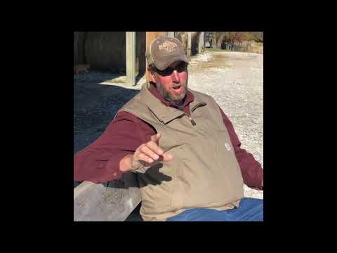 Creating a Gunshy dog