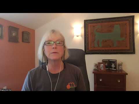 What is Rebellious Wellness?
