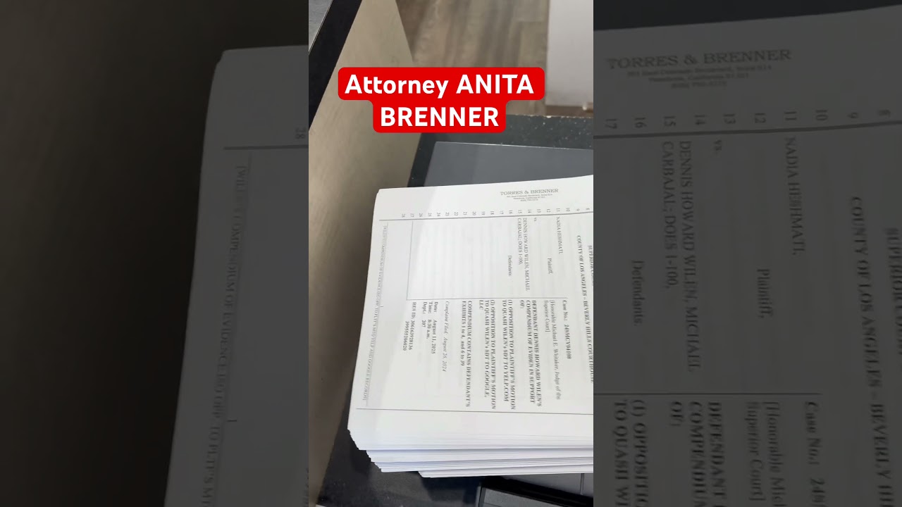 Anita susan Brenner, Aattorney Anita Brenner paper bombs lawyers & litigants with 4-30 pounds MANIC