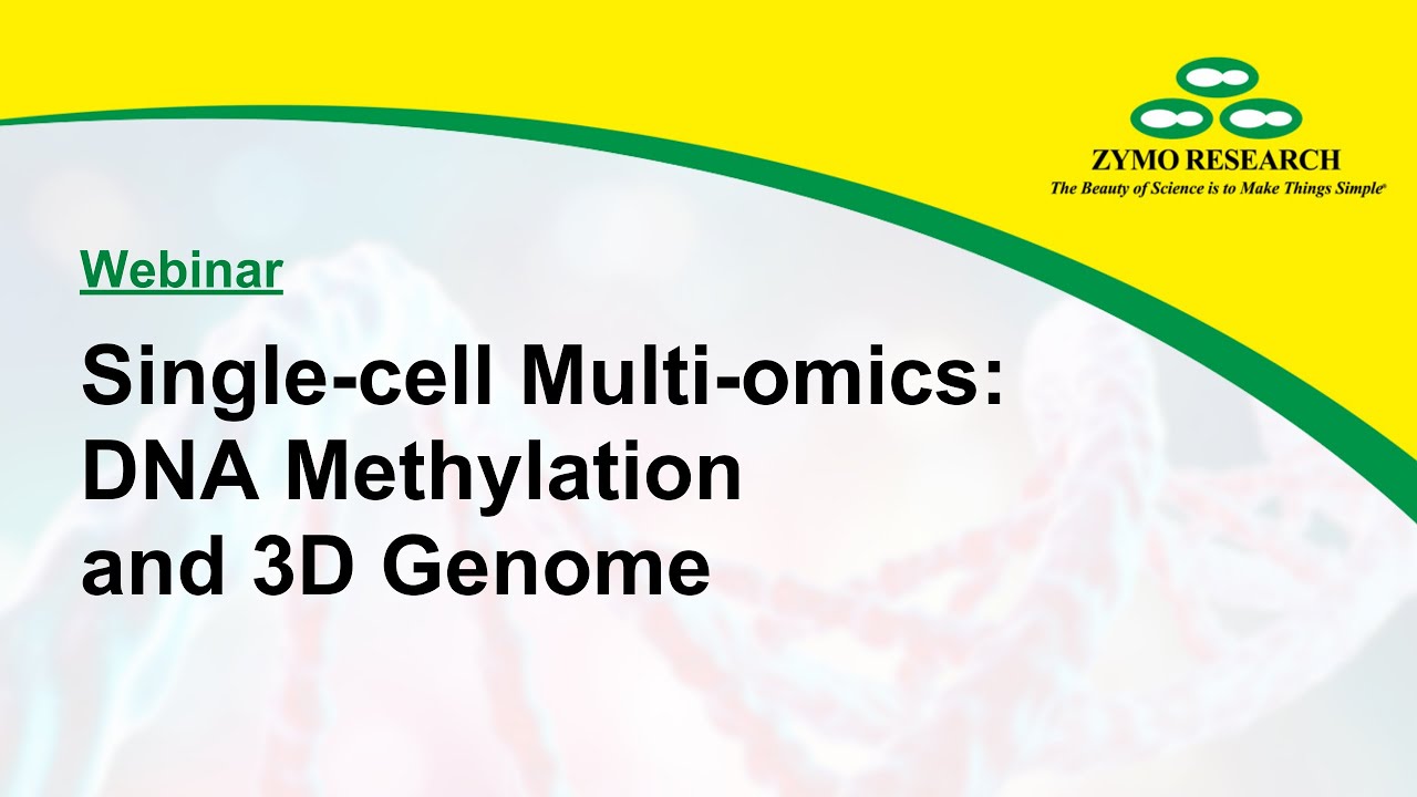 Single-cell Multi-omics: DNA Methylation and 3D genome