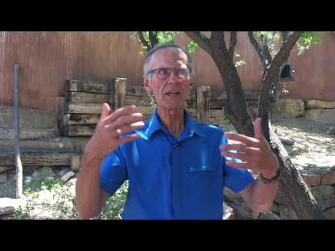 What is a Shaman?
